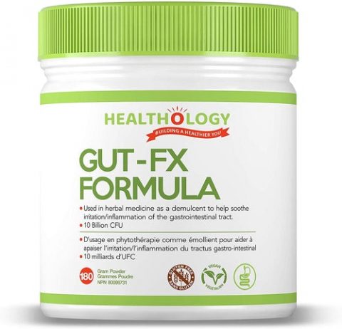 GUT-FX FORMULA Santé Intestinale Healthology / 180 g - Vivre En Santé